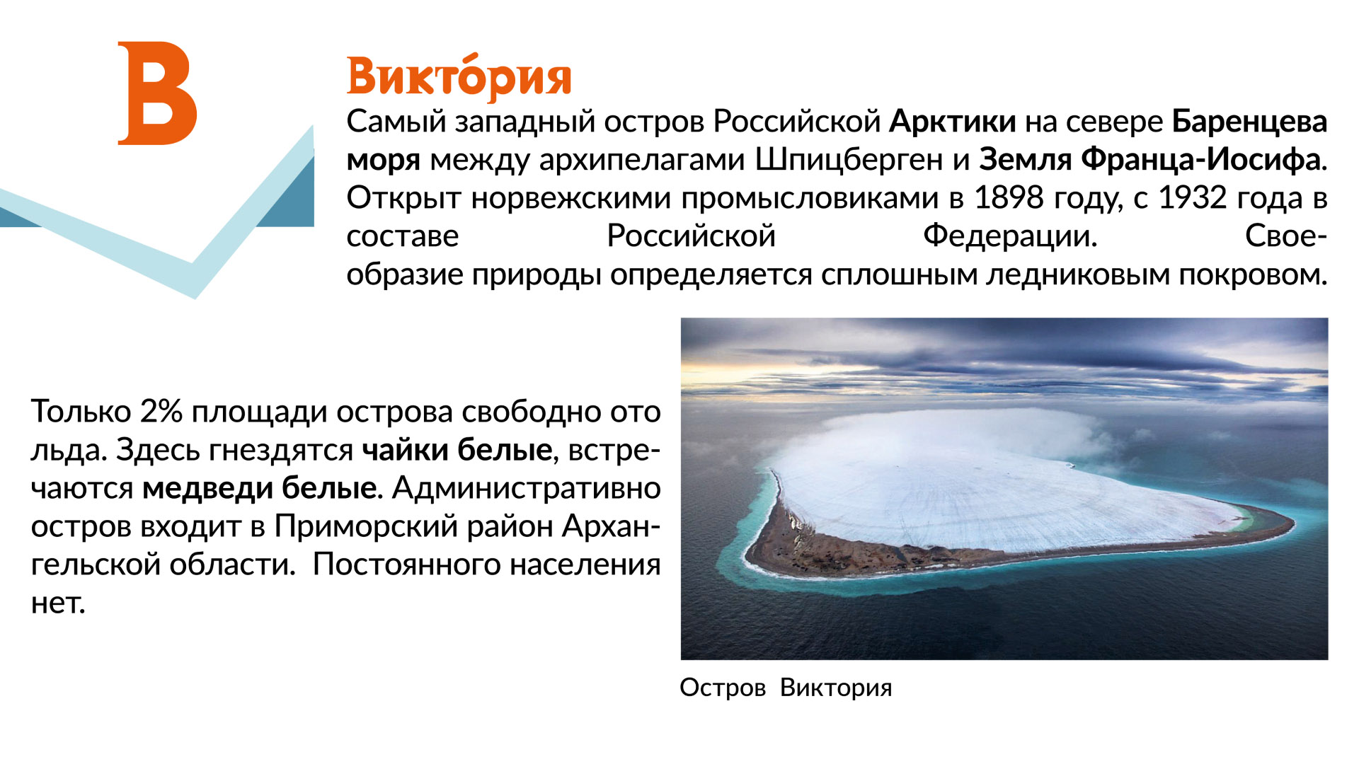 Детская страничка | Русская Арктика