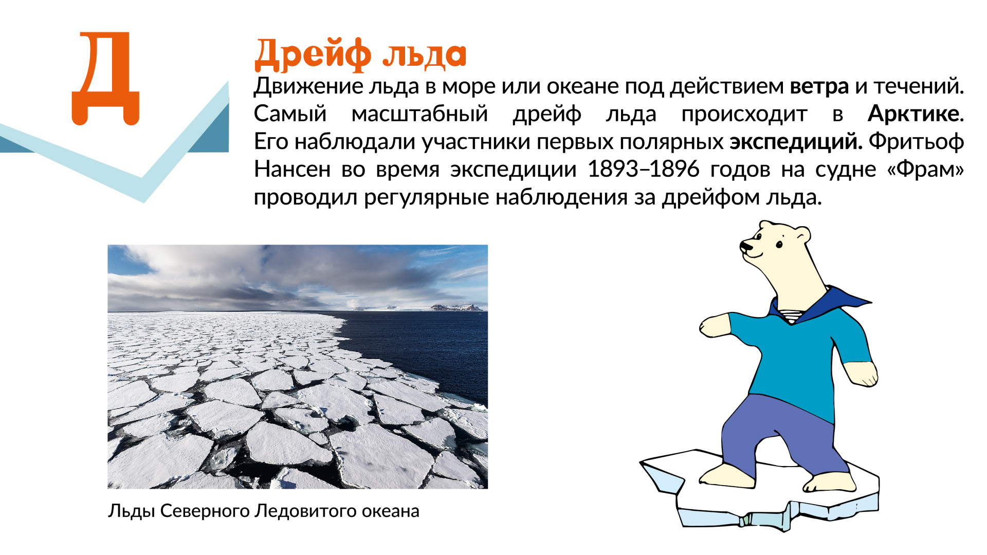Детская страничка | Русская Арктика